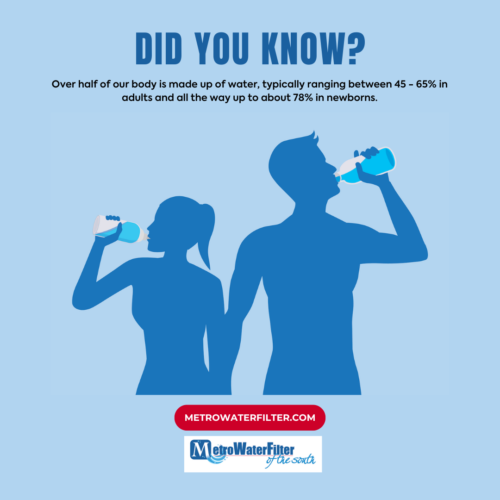 Benefits Of Drinking Water For Health | Metro Water Filter