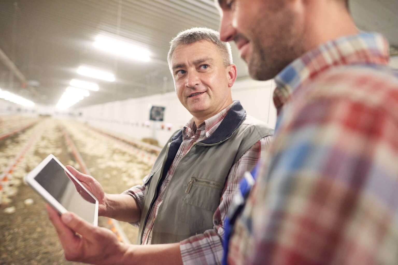 Commercial Water Filter Reduce Disease Risk In Poultry Farms